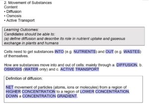 IDU – Electricity / lightning – IB MYP STEM unit plan – TeachersTrading.com