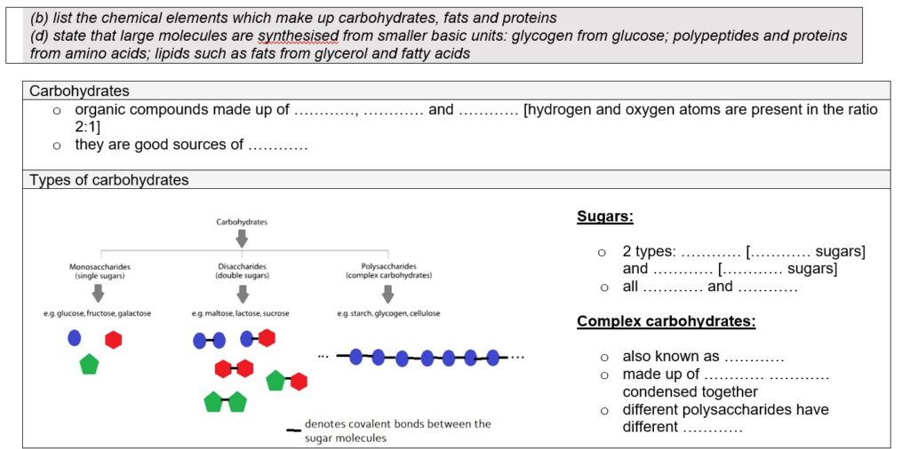 IB MYP Artifical limb unit – MYP Mathematics STEM unit planner ...